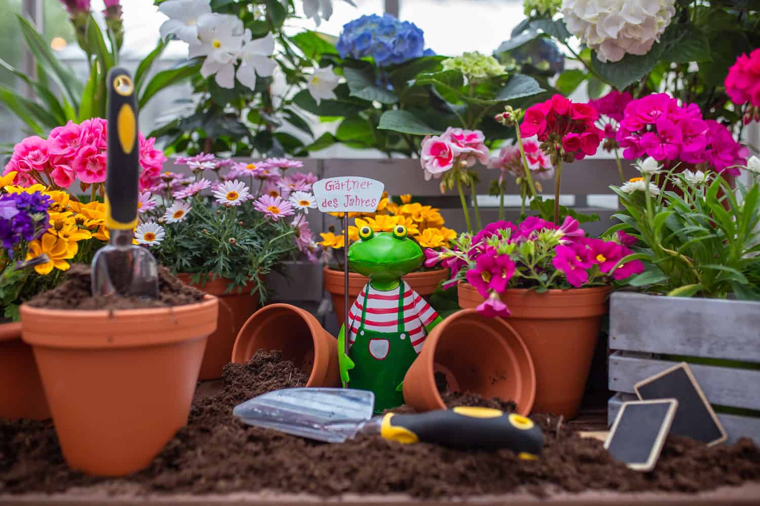 Impressum | Blumenhaus Bödder